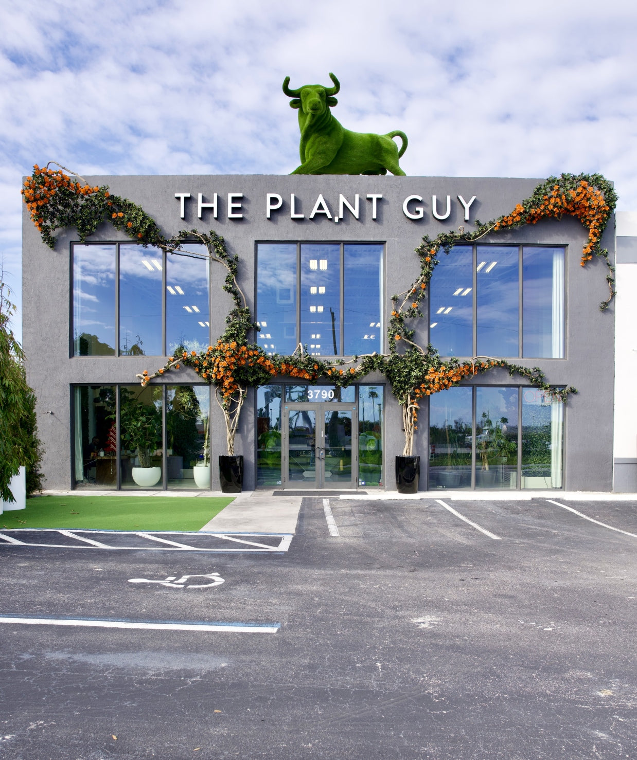 The Plant Guy