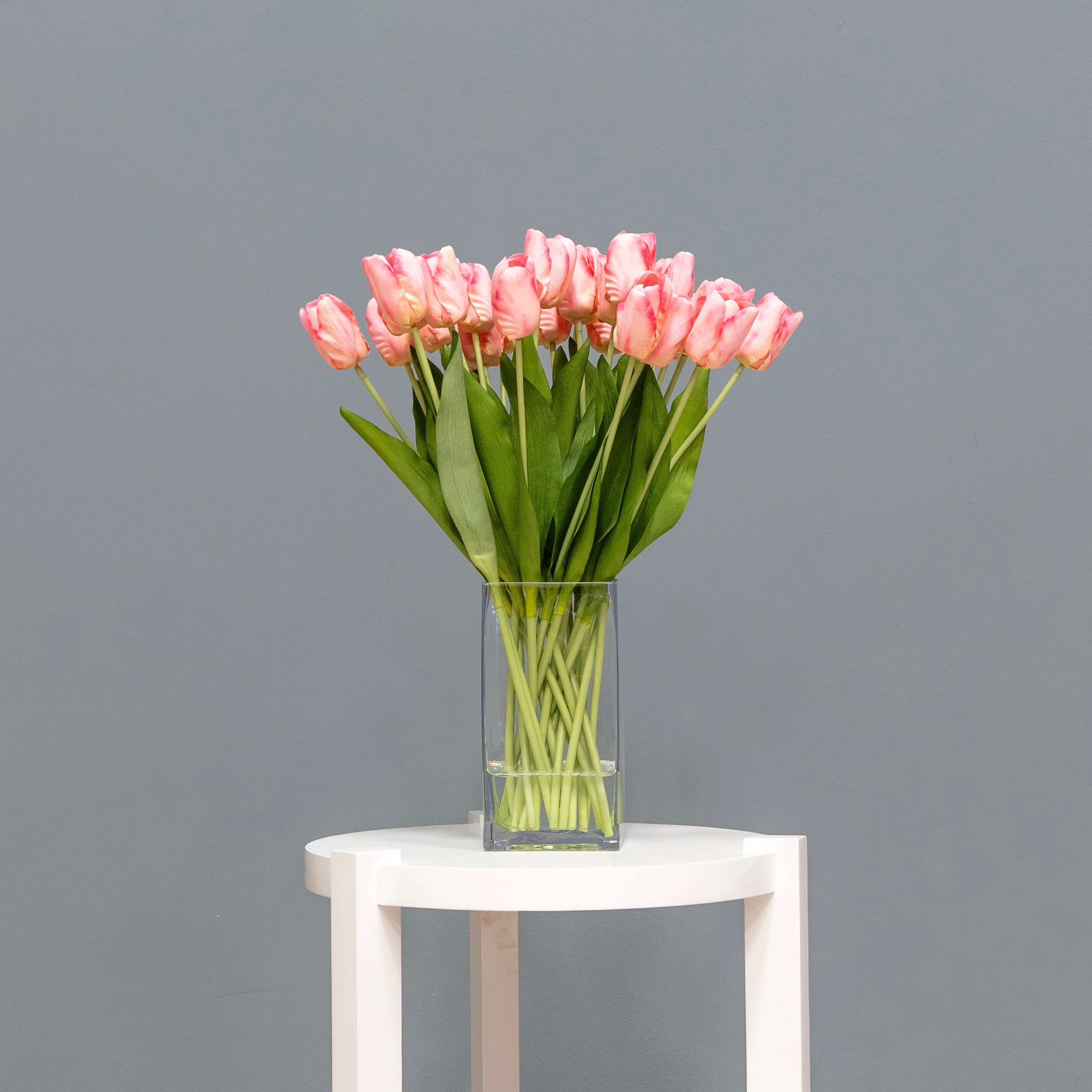 Fresh Cut Tulips – The Plant Guy