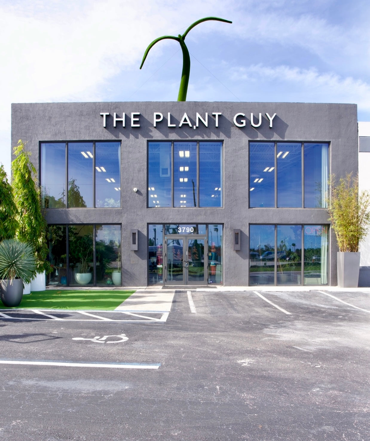 The Plant Guy