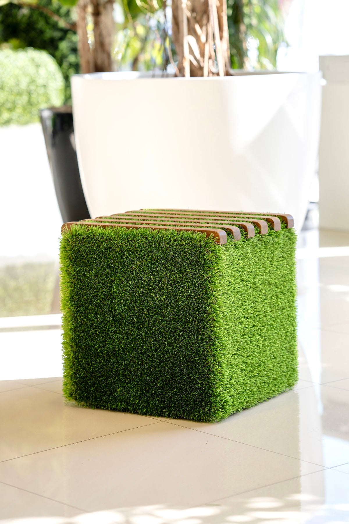 Walnut Wood Turf Cube – The Plant Guy