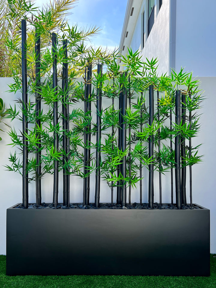 Request More Information – The Plant Guy