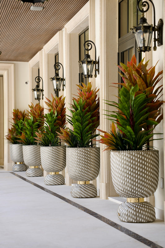 Request More Information – The Plant Guy