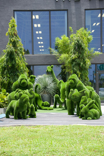 About – The Plant Guy